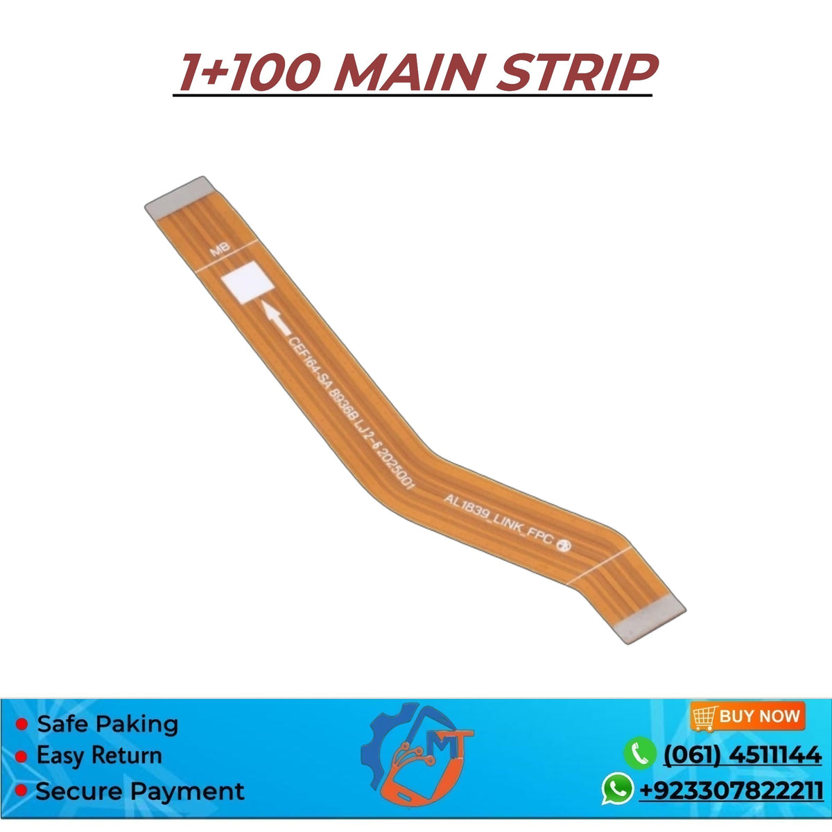 1+100 MAIN STRIP